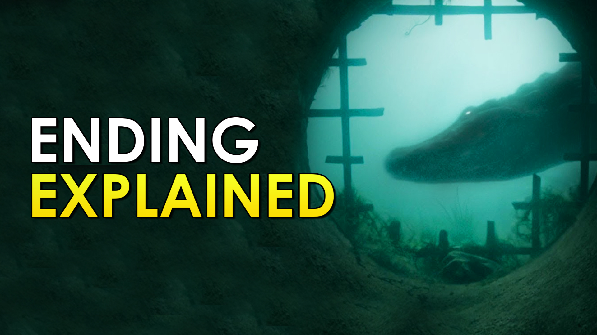 Crawl: Ending Explained + Full Spoiler Talk Review